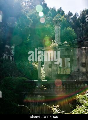 A ruined building surrounded by green vegetation against the background ...