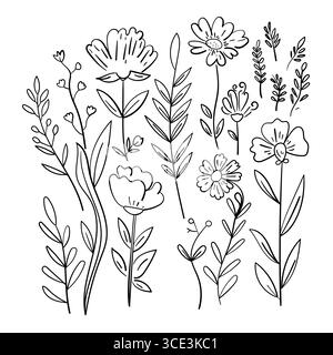Hand Drawn Wildflowers Vector Illustrations Collection. Abstract ...