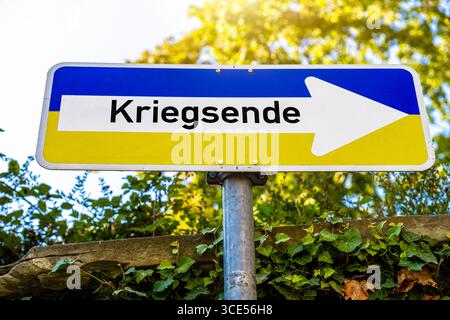 FOTOMONTAGE, Wegweiser mit Schriftzug Peace deal auf Nationalfarben der Ukraine vor Fahne von ...