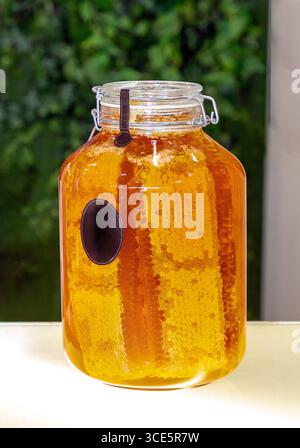 Homemade organic honey in honeycomb from farm apiary on mountains ...