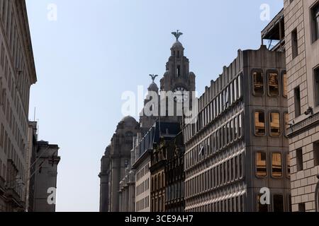 Street View of the Royal Liver Building, Liverpool Stock Photo - Alamy