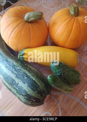 Two fresh green cucumbers with yellow flowers on grey stone background ...