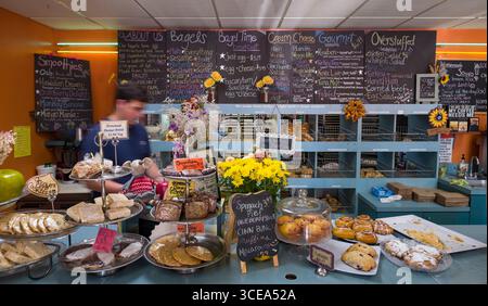 Hand drawn chalk menu boards inside Bagel Time bakery, Worcester ...