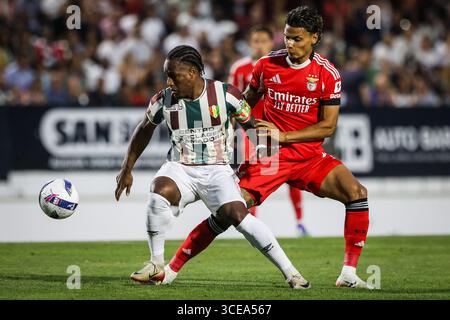 Richard Rios of Benfica during the Portuguese Cup, Taça de Portugal ...
