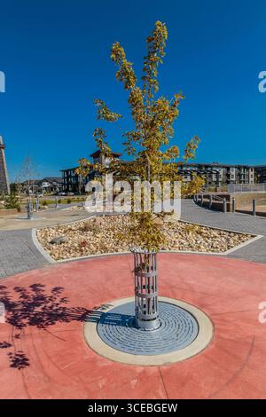 Evergreen Square is located in the Evergreen neighborhood of Saskatoon ...