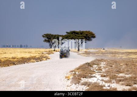 Etosha National Park, Namibia Stock Photo - Alamy