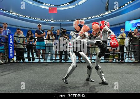 The 2025 World Humanoid Robot Games began in Beijing, China, 15 August ...