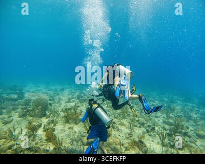Two scuba divers underwater exploring the ocean Stock Photo - Alamy