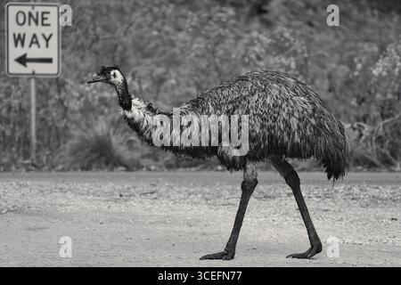 A wildlife habitat sign on a dirt road Stock Photo - Alamy