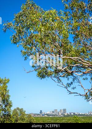 City view from a park Stock Photo - Alamy