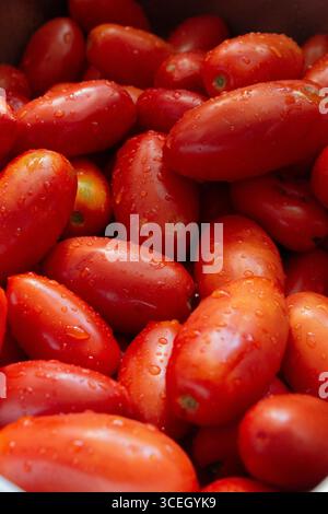 Freshly washed ripe red tomatoes Stock Photo - Alamy