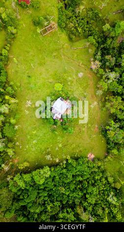 An aerial view of greenery field surrounded by dense trees Stock Photo ...