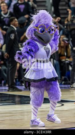 Violet, the Golden State Valkyries mascot, has a photo taken with a fan ...