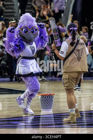 Golden State Valkyries mascot Violet and friend poses for a picture ...