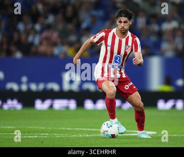 Johnny Cardoso, Atletico Madrid in action during the UEFA Champions ...