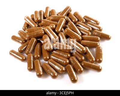Chaga Mushroom with Capsules isolated on white Background - Healthy ...