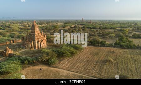 Aerial view of ancient temples rising from the verdant landscape, their ...