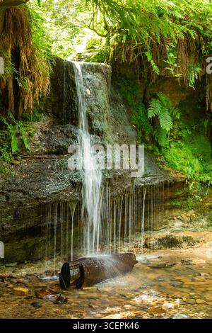 Maspie Den waterfall in Falkland Estate Fife Scotland Stock Photo - Alamy