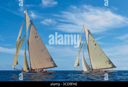 Classic Sailboats Tuiga and Mariska Racing on Open Sea Under Clear Blue ...