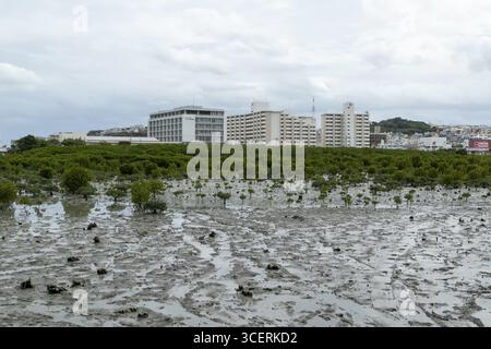 Sightseeing Manko Waterbird and Wetland Centre, boardwalk through the ...