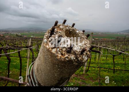 detail of a reinforced concrete column Stock Photo - Alamy