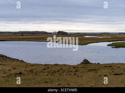 Birdlife watching lagoons in town of Djupivogur in Eastern Iceland ...