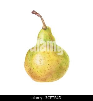 Fresh Green Pear and Yellow Floral Seamless Pattern on Black and White ...