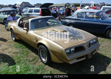 1978 Pontiac Firebird and Trans Am Ad Stock Photo - Alamy