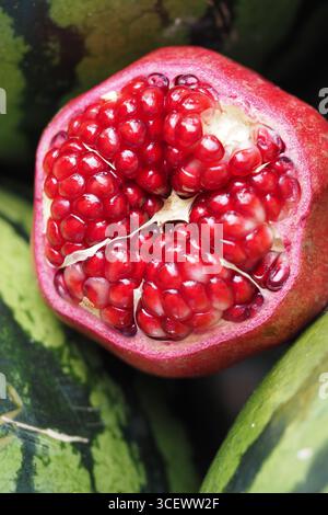 Fresh juicy watermelon with seeds cut into triangles on bright blue ...