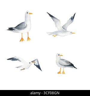 Watercolor seagull illustration with flying and standing coastal birds ...