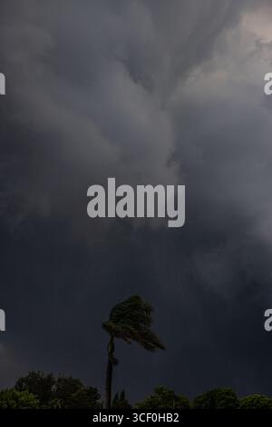 Huge Tornado Storm Cell over Florida Stock Photo - Alamy