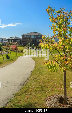 Varley Park is located in the Willowgrove neighborhood of Saskatoon ...