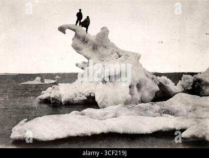 This 1920 image shows a polar bear being lassoed near a ship in ...