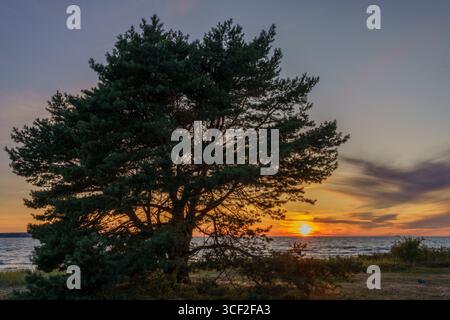 Sunset at the Coast of Eksta on Gotland, Sweden. Warm red colors ...