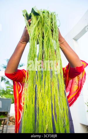 Young farm worker washing green spring onions Stock Photo - Alamy