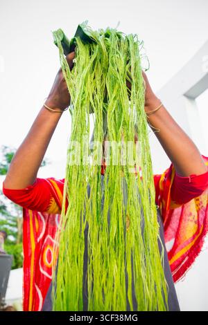 Young farm worker washing green spring onions Stock Photo - Alamy