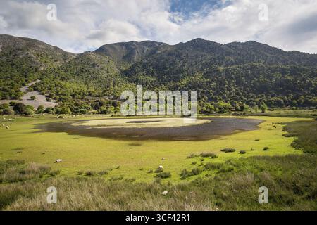 Lake Omalos in front of the White Mountains (Lefka Ori), Omalos Plateau ...