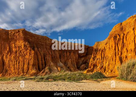 Evening light bathes the sandstone cliffs of remote Blacklock Point on ...