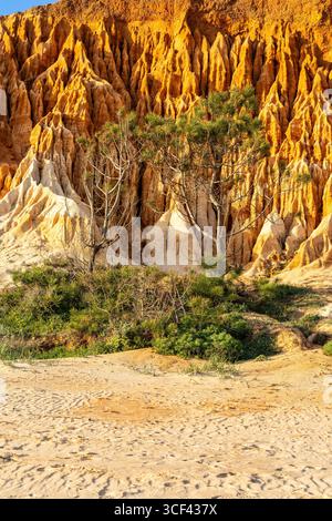 Evening light bathes the sandstone cliffs of remote Blacklock Point on ...