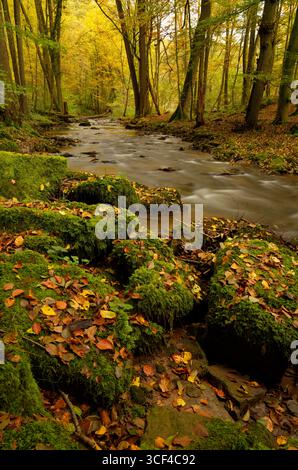 The course of the River Thulba in the core zone of the Rhön Biosphere ...