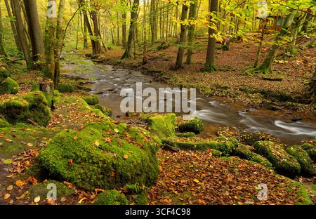 The course of the River Thulba in the core zone of the Rhön Biosphere ...