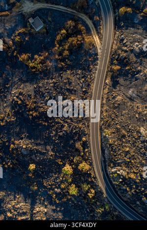Aerial shot of devastated forest landscape after supercell storm in ...