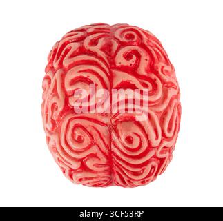 Human rubber brain isolated on black background Stock Photo - Alamy