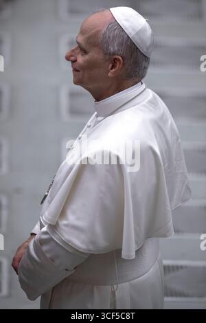 Pope Leo XIV during his weekly general audience in St. Peter's square at the Vatican Stock Photo ...