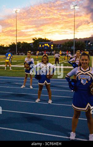 Cheerleaders in vibrant blue, yellow, and white uniforms strike dynamic ...