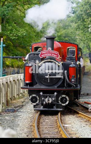 Double Fairlie, Ffestiniog Railway, Tan y Bwlch, Station, Gwynedd ...