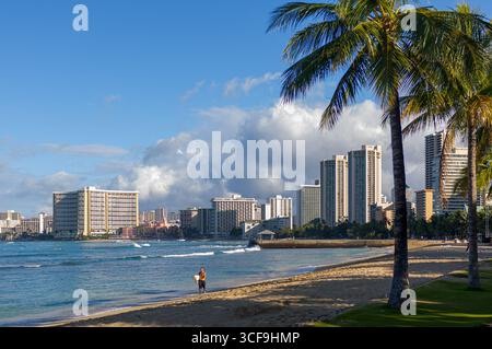 Coconut palms frame the view of Waikiki Beach, Oahu, Hawaii, USA Stock ...
