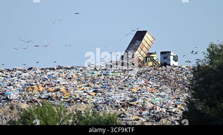 Industrial compactor and rubbish lorry operating on a pile of waste in ...