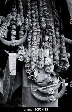 Trophies of a headhunter's house of the Chang Naga tribe, India ...