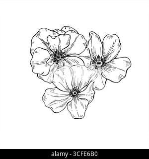 WILDFLOWER SKETCH MONOCHROME Floral Sketch With Poppy Camomile And ...